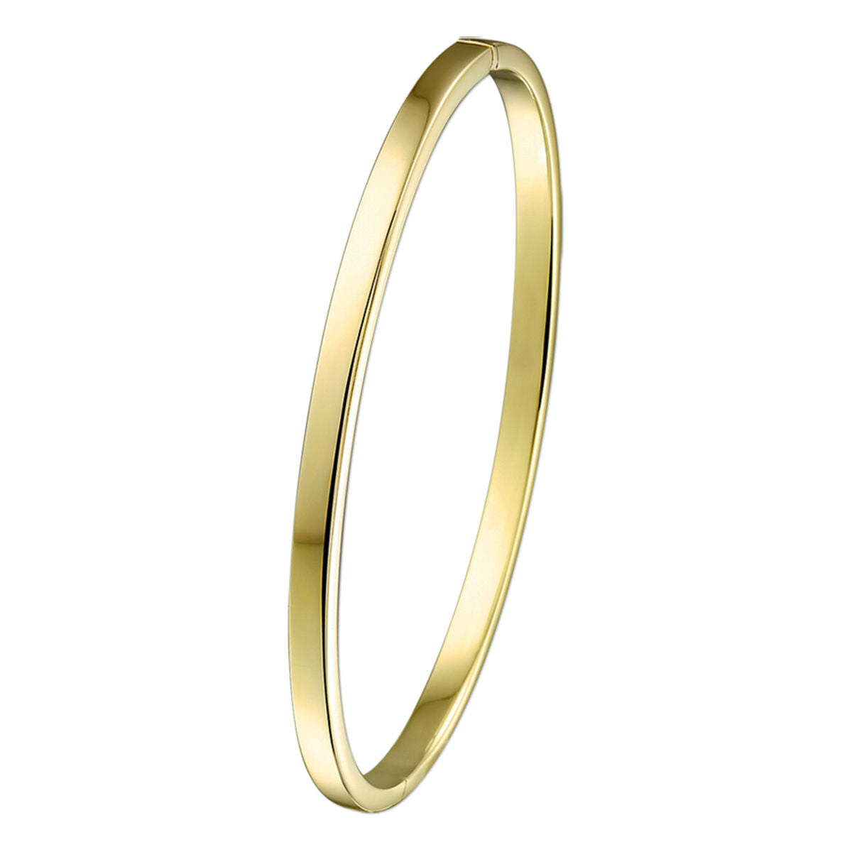 bangle scharnier massief vlakke buis 3 x 61 mm Zilgold (geelgoud met z ...